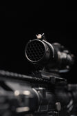 ScopeCap Pro™ - Flip-Up Cover With Integrated Kill Flash | One Hundred ...